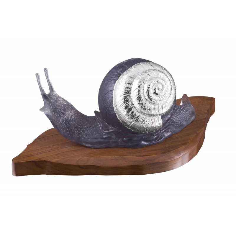 SHELL TRAIL (SNAIL TRAIL)