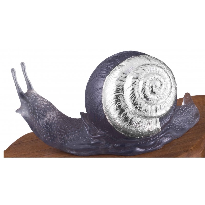 SHELL TRAIL (SNAIL TRAIL)